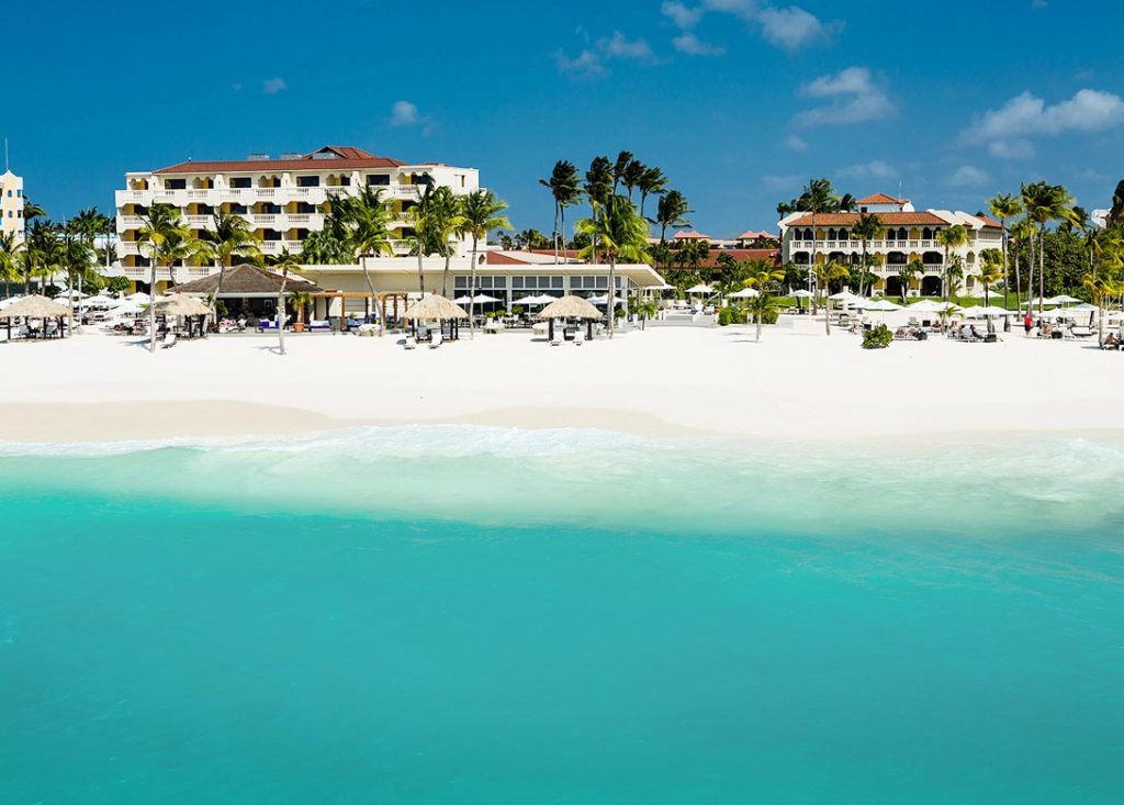 Interview with Ewald Biemans, Aruba | Northflash